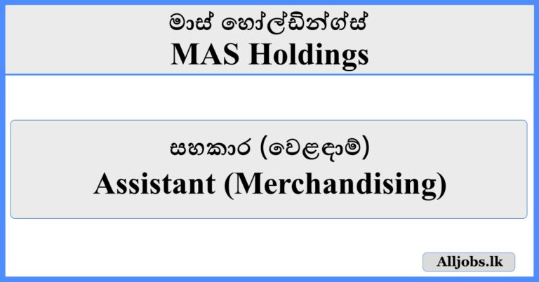 Assistant (Merchandising) - MAS Holdings 2025 - AllJobs.lk