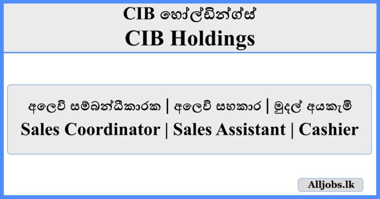 Job Vacancies - CIB Holdings 2025 - AllJobs.lk