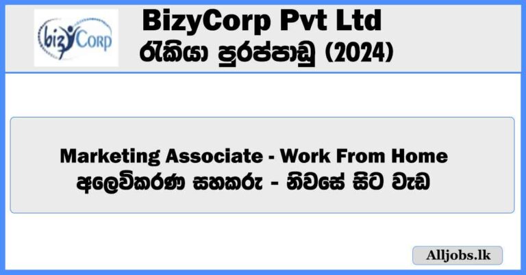Online Job Vacancies | Work from Home Jobs 2025 - AllJobs.lk