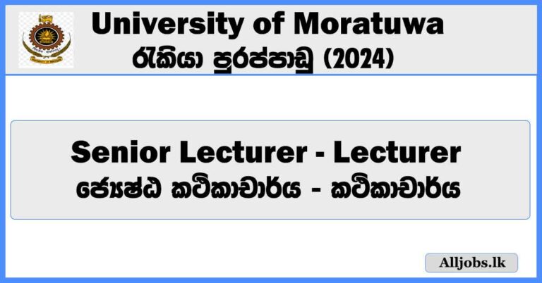 Senior Lecturer- Lecturer - Institute of Technology - University of ...
